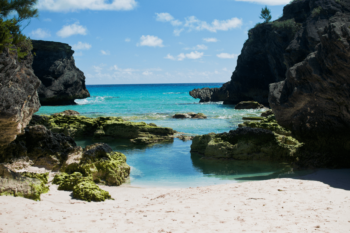 Living the Curated Lifestyle – The Narr.O.W. Podcast